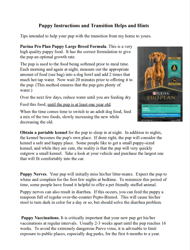 Elementor #622 – Palmer Country Pups